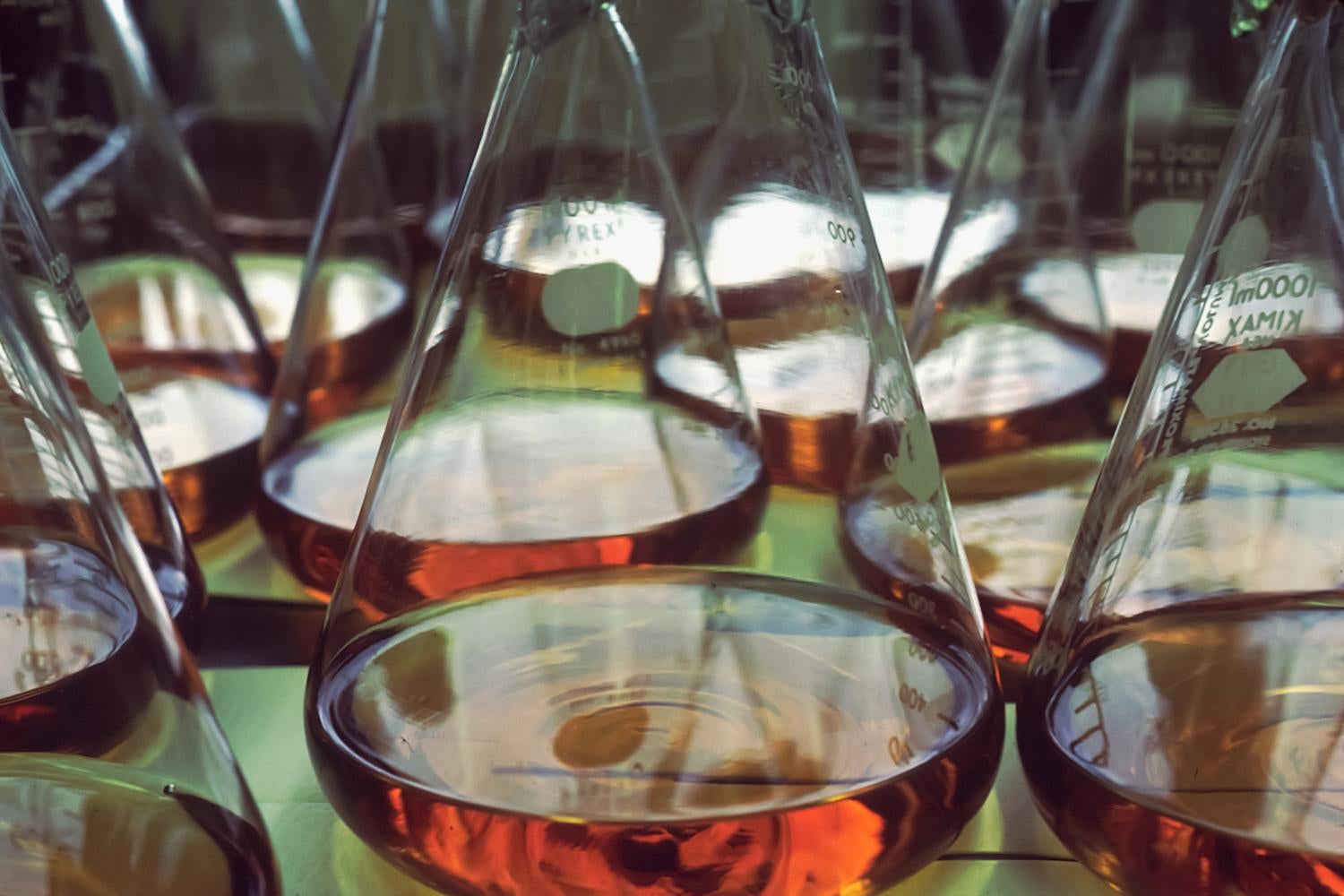 Similarities between Laboratory Information Management Systems and ...